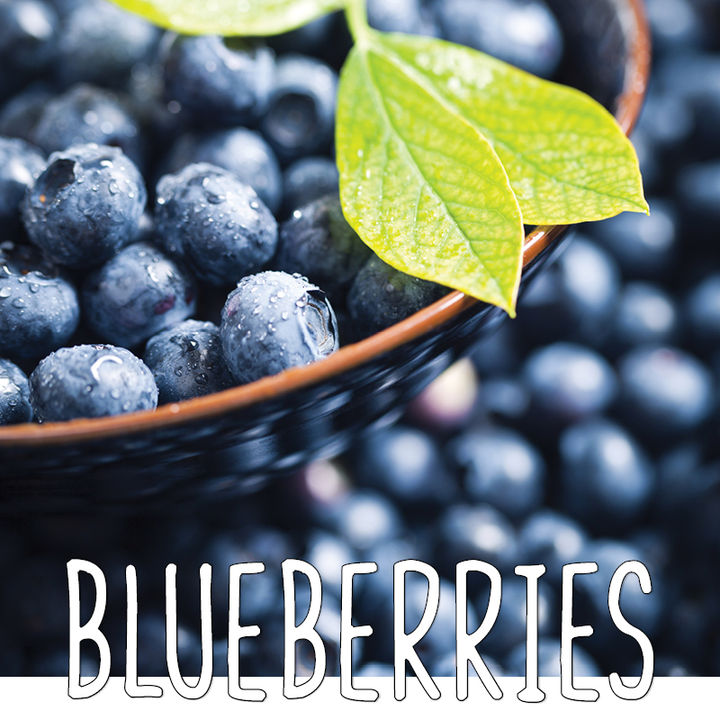 Brain Food Cheat Sheet: Ace Your Next Test - Indianapolis Fruit